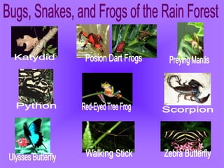 biome powerpoint.ppt