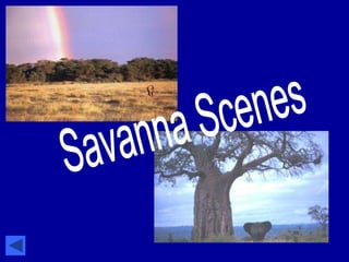 biome powerpoint.ppt