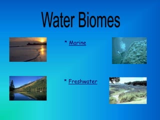 biome powerpoint.ppt