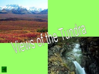 biome powerpoint.ppt