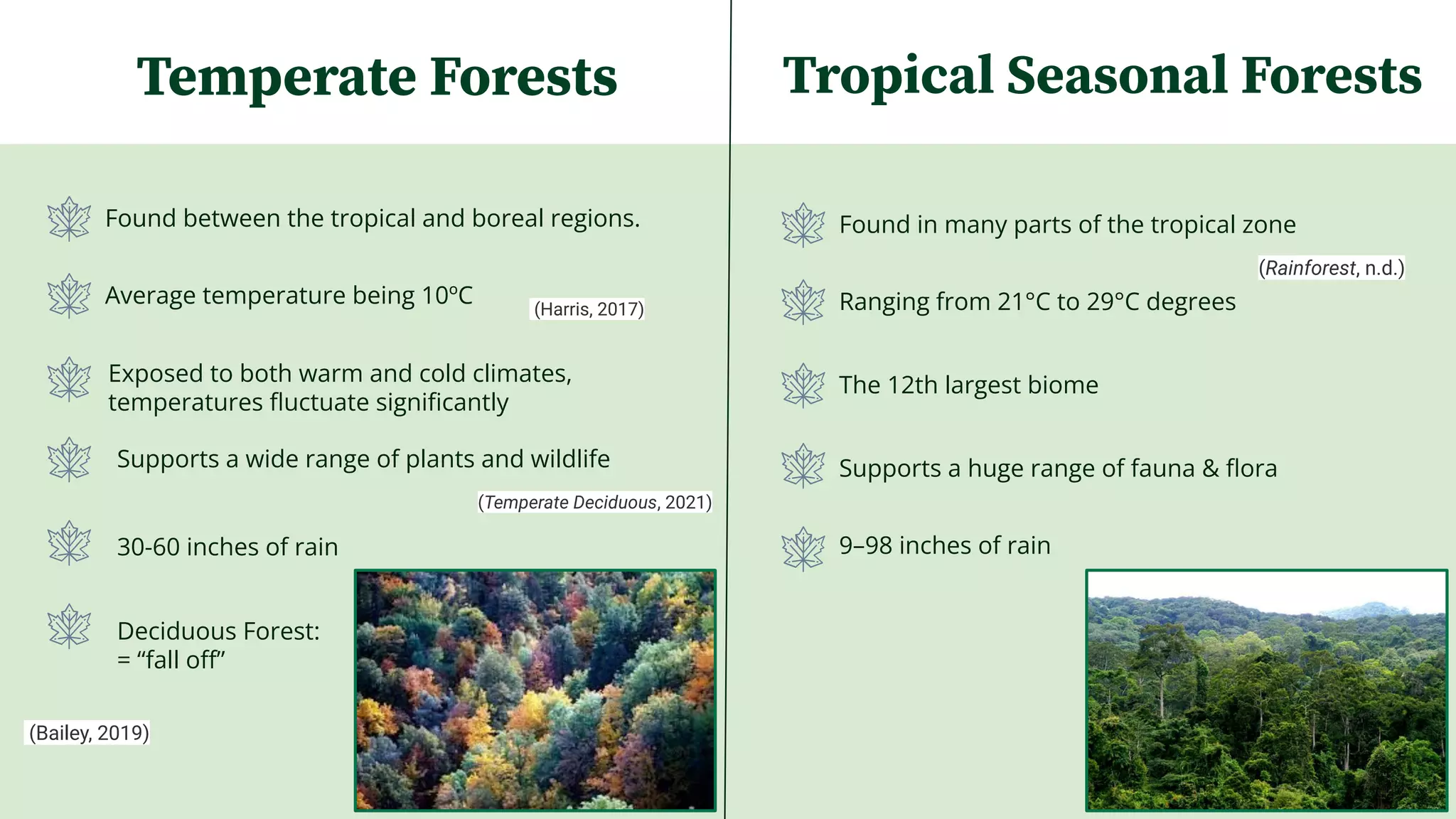 Biomes: Temperate Forests and Tropical Seasonal Forest | PDF