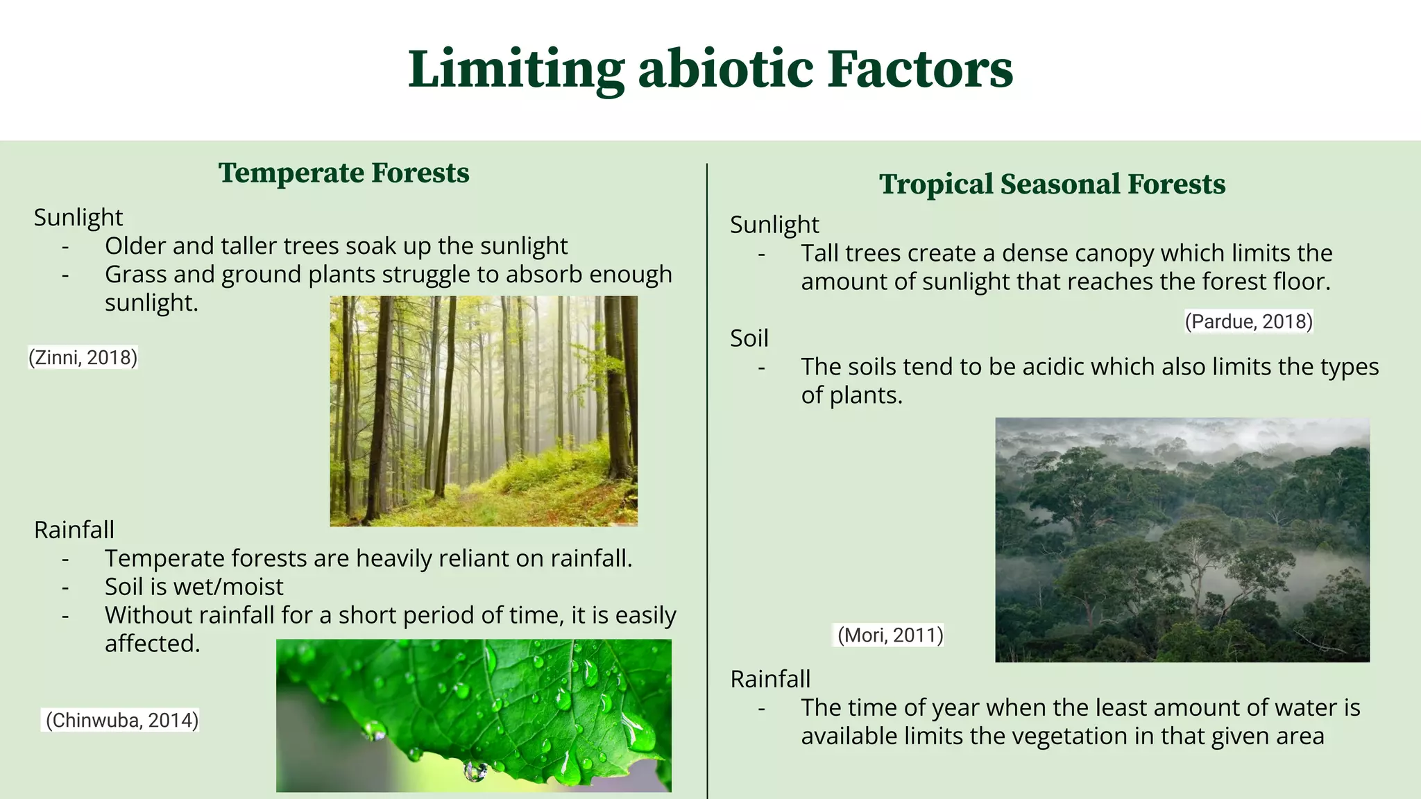 Biomes: Temperate Forests and Tropical Seasonal Forest | PDF