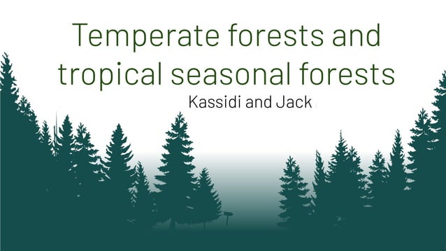 Biomes: Temperate Forests and Tropical Seasonal Forest | PPT