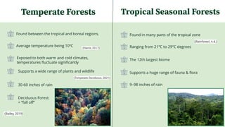 Biomes: Temperate Forests and Tropical Seasonal Forest | PPT