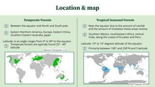 Biomes: Temperate Forests and Tropical Seasonal Forest | PPT