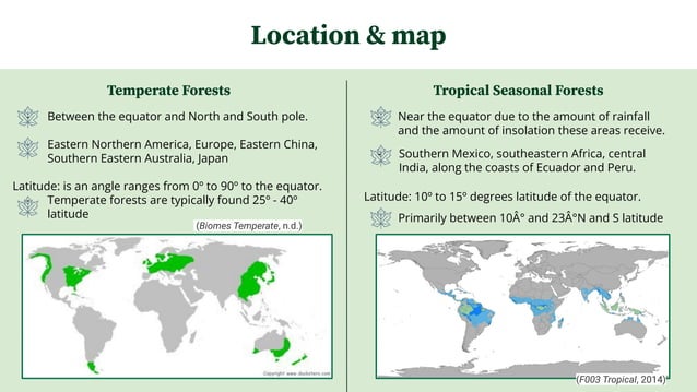 Biomes: Temperate Forests and Tropical Seasonal Forest | PPT