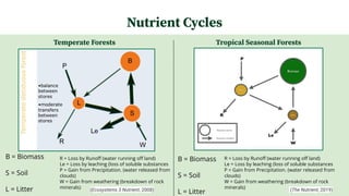 Biomes: Temperate Forests and Tropical Seasonal Forest | PPT