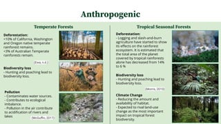Biomes: Temperate Forests and Tropical Seasonal Forest | PPT