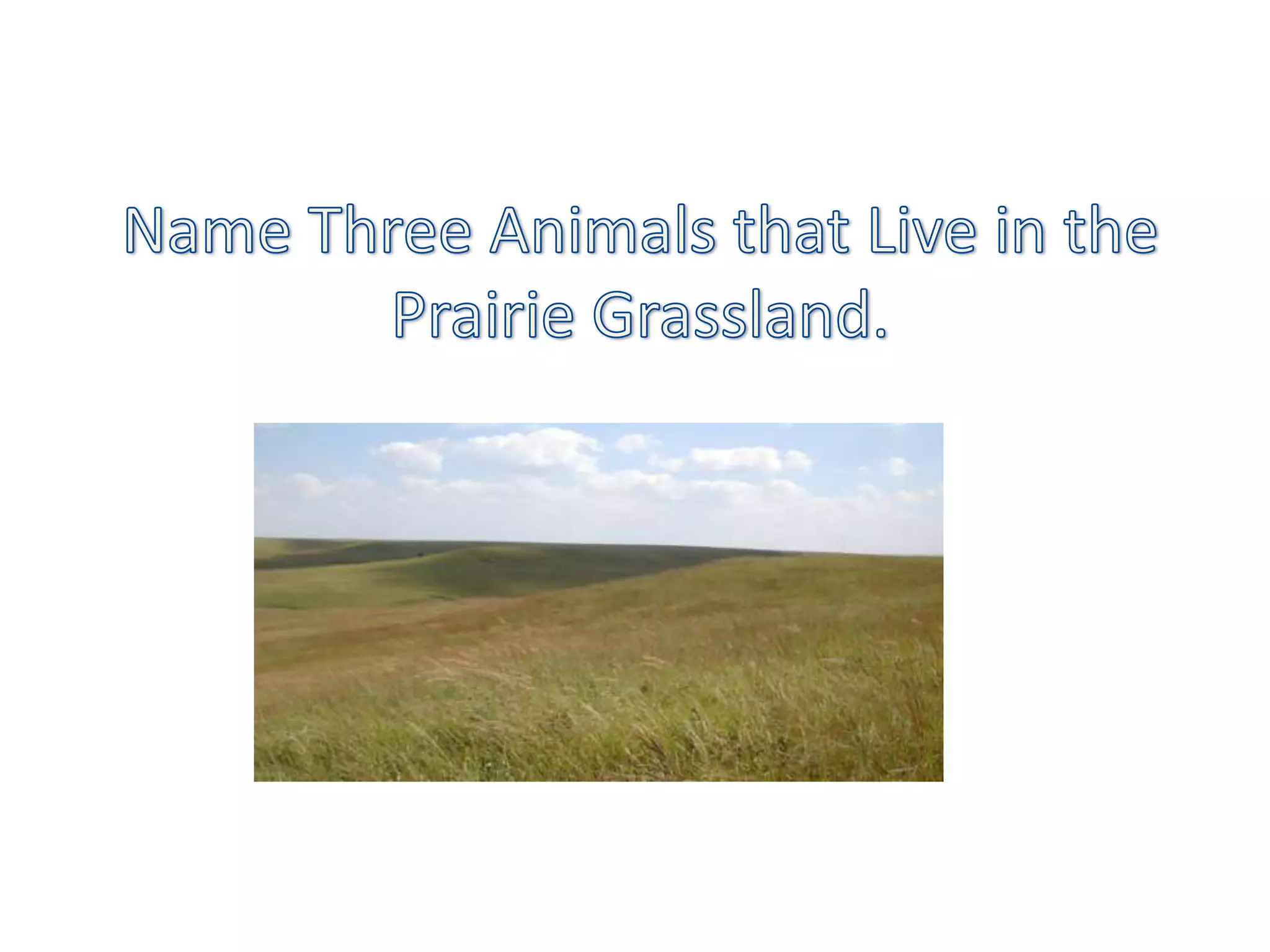 Biome Questions | PPT