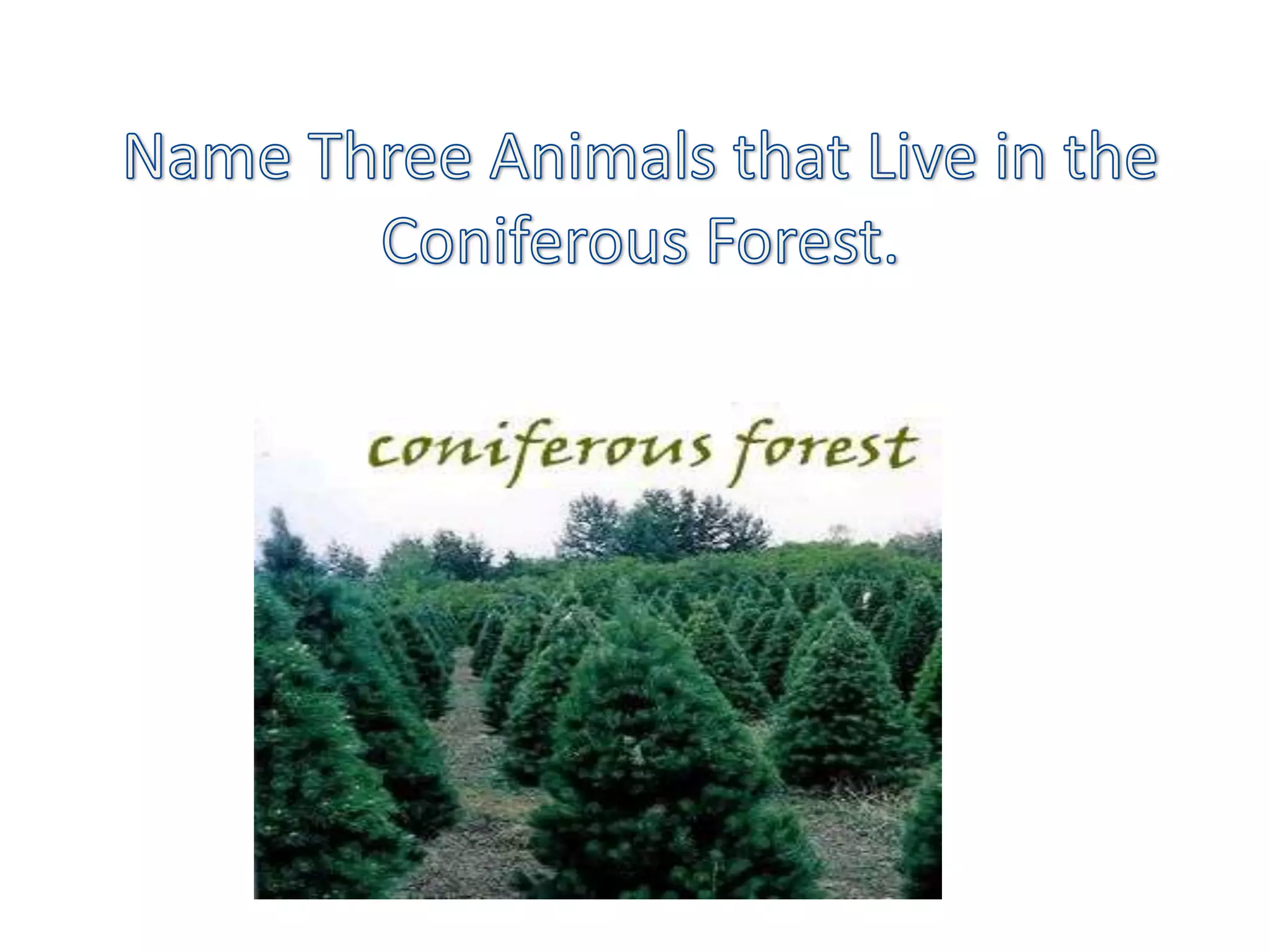 Biome Questions | PPT