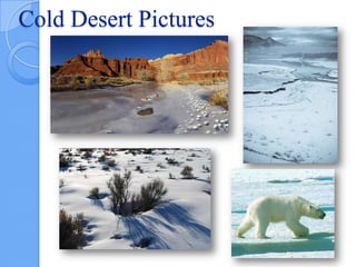 Biome Research Project | PPTX