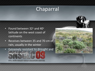 Biomes | PPT