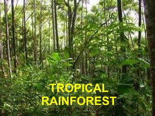 Biomes | PPT