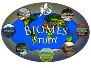 Biomes | PPT