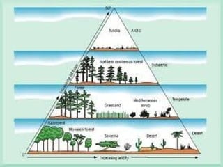 Biomes | PPT