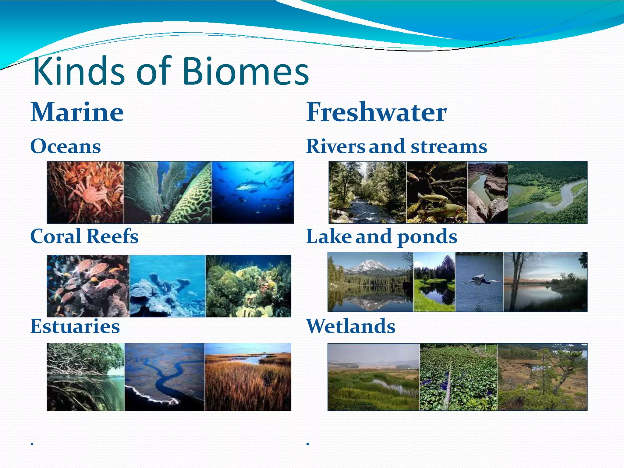 biomes-110821050021-phpapp02.pptx | Geography | Science