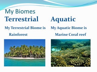 Biomes | PPTX