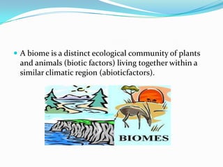 Biomes | PPTX