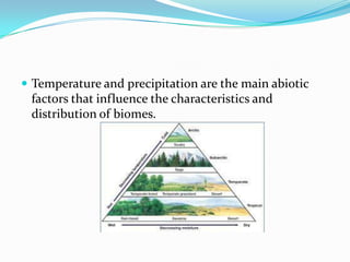 Biomes | PPTX