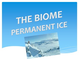 The Biome Permanent Ice | PPTX