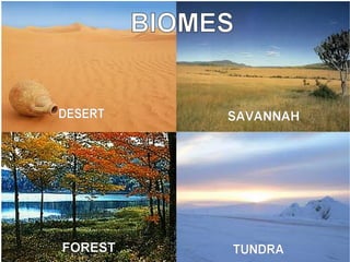Biomes | ODP