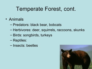 Biomes | PPT | Birds | Pets