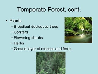 Biomes | PPT