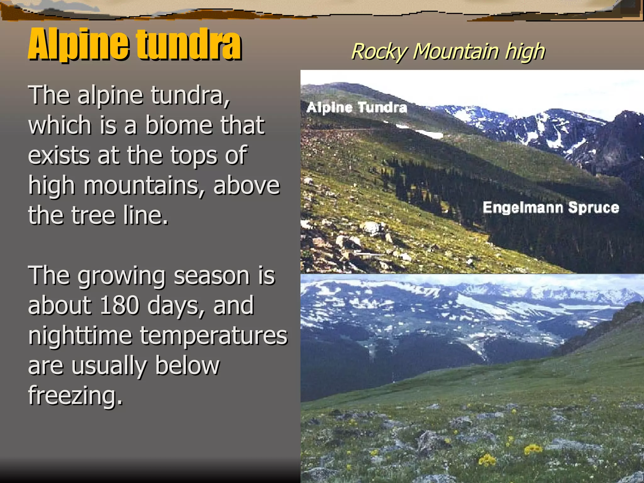 Biomes | PPT