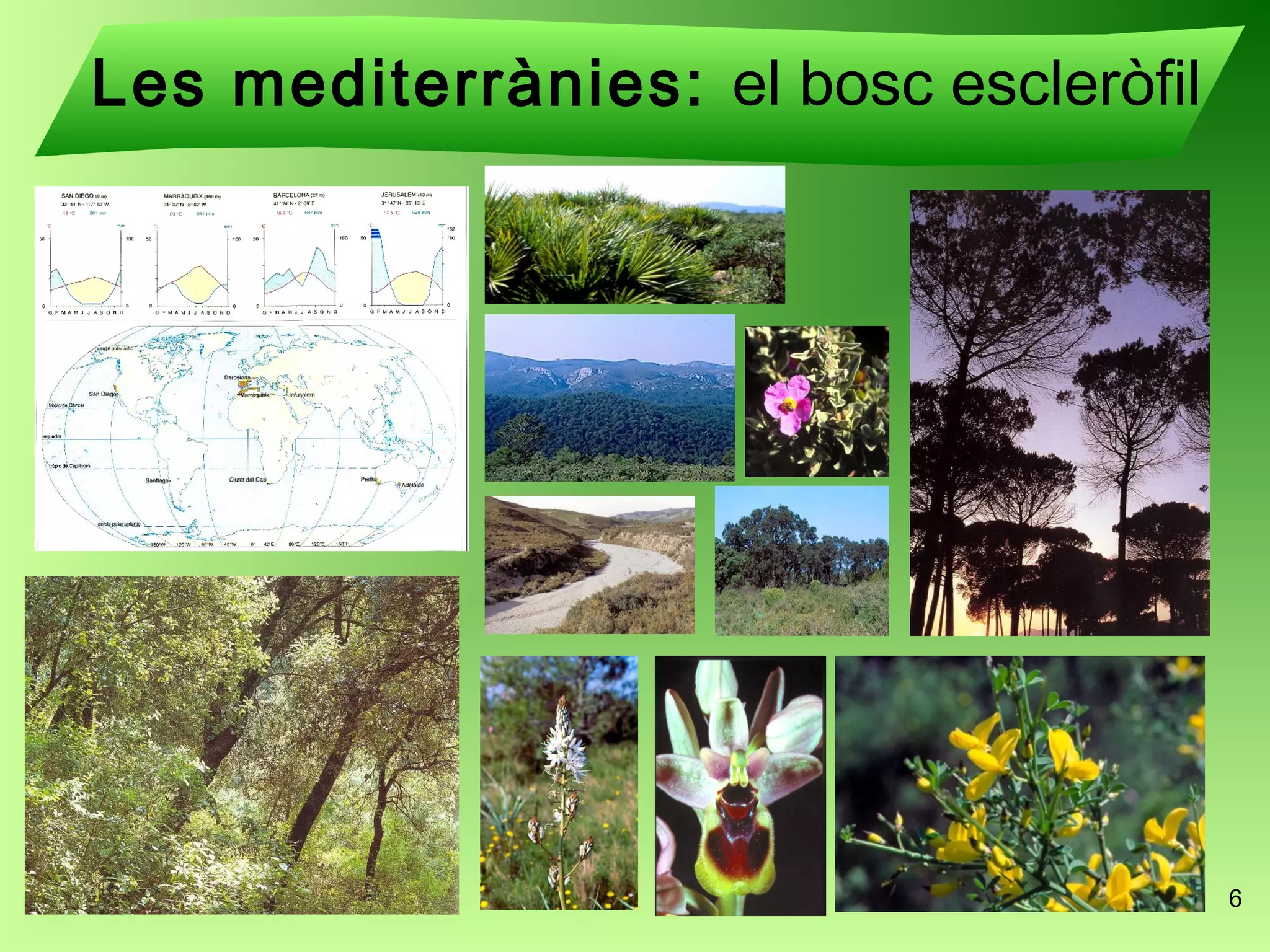 Biomes | PPT