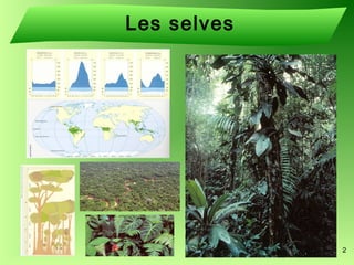 Biomes | PPT