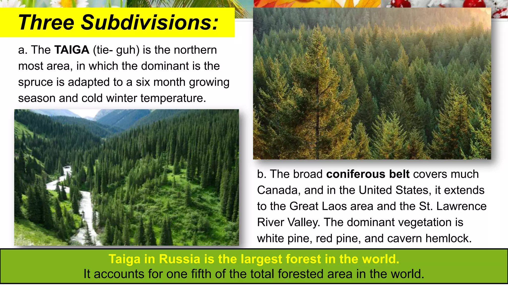 Kinds of Terrestrial Biome | PPTX