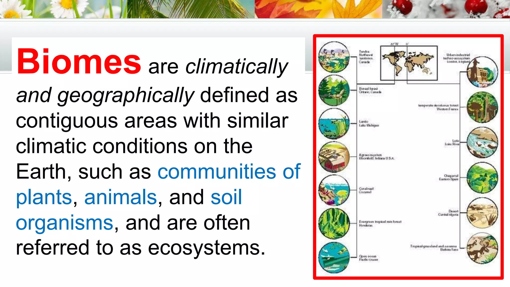 Kinds of Terrestrial Biome | PPTX