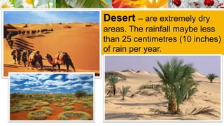 Terrestrial Biomes Desert