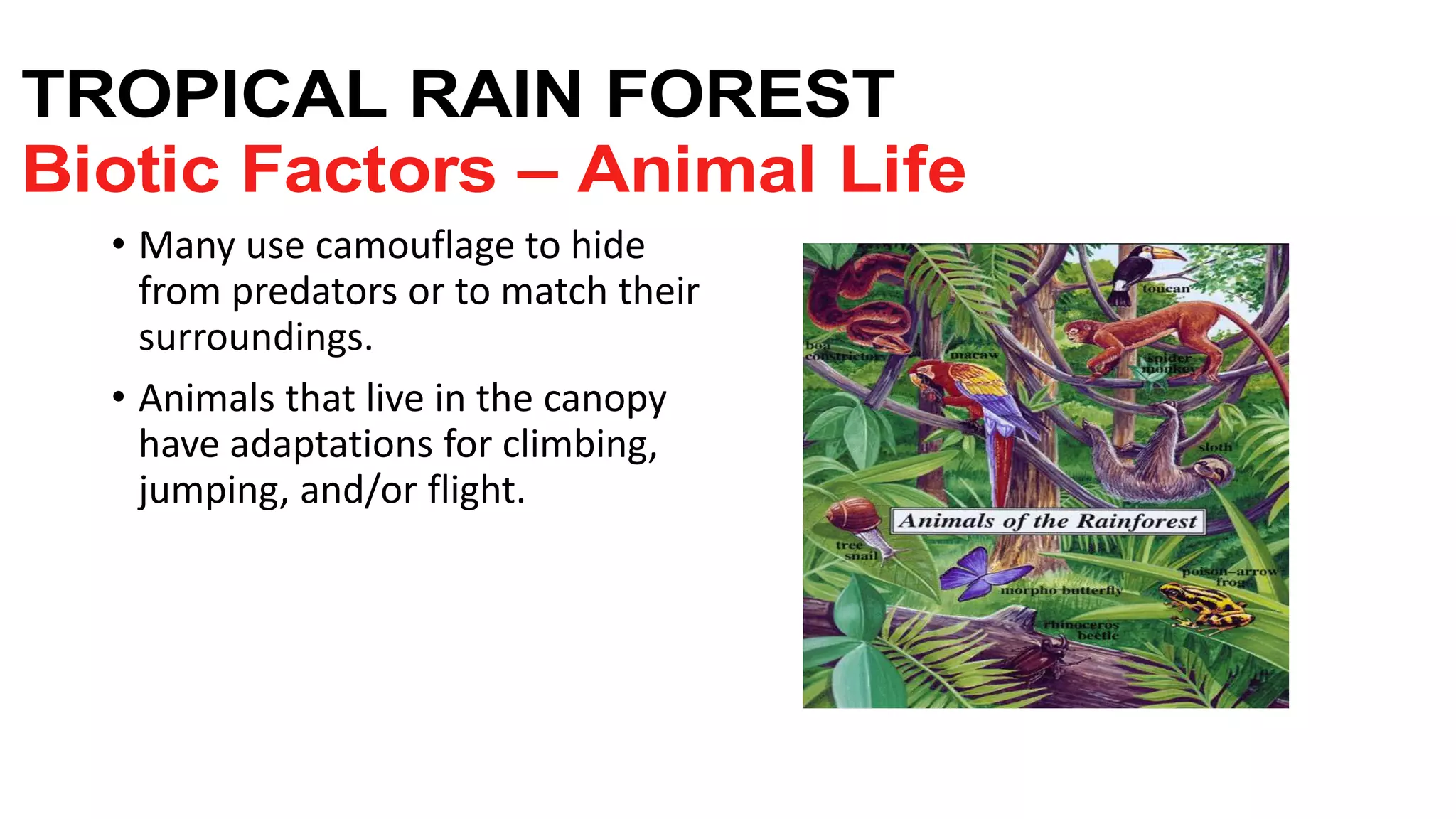 Biomes. abiotic and biotic parts | PPTX