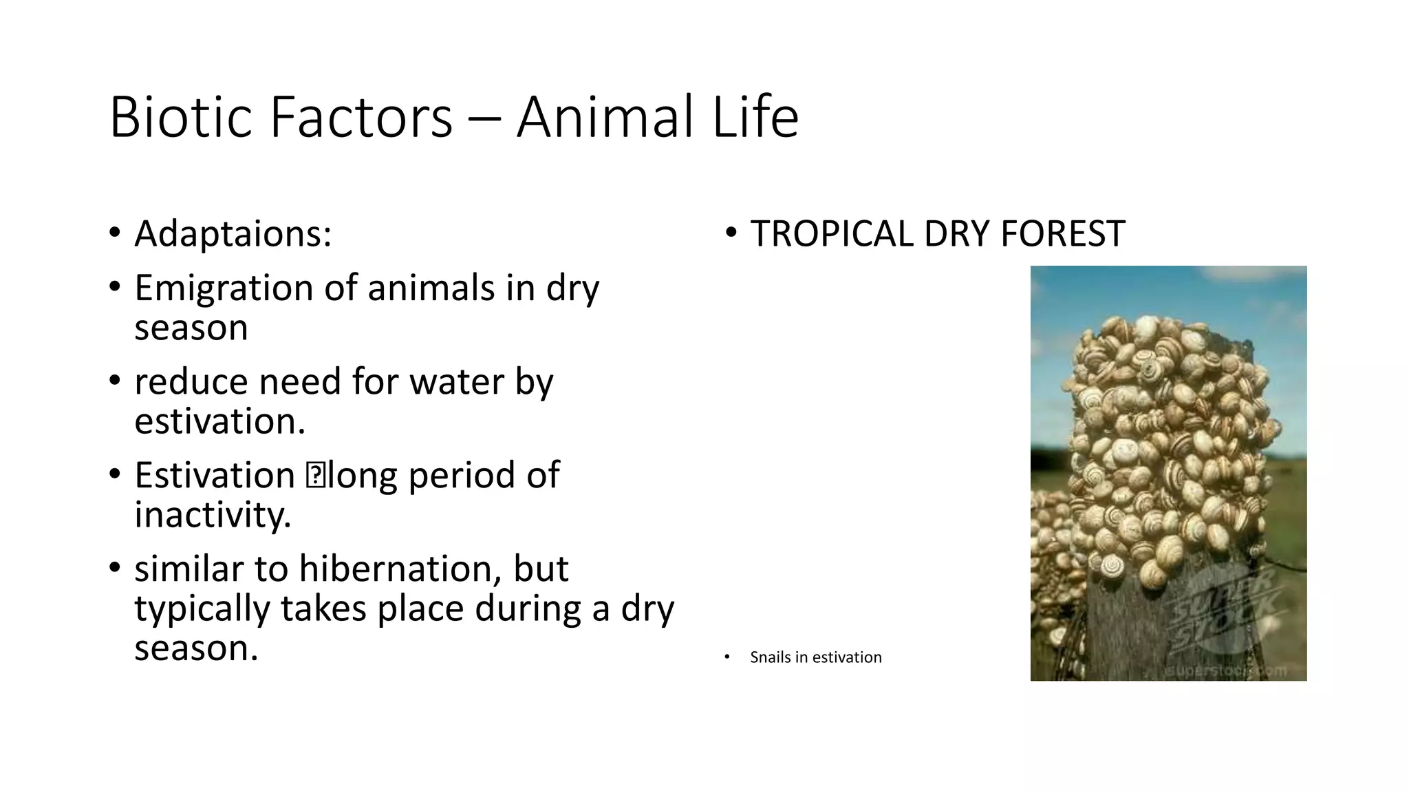 Biomes. abiotic and biotic parts | PPTX