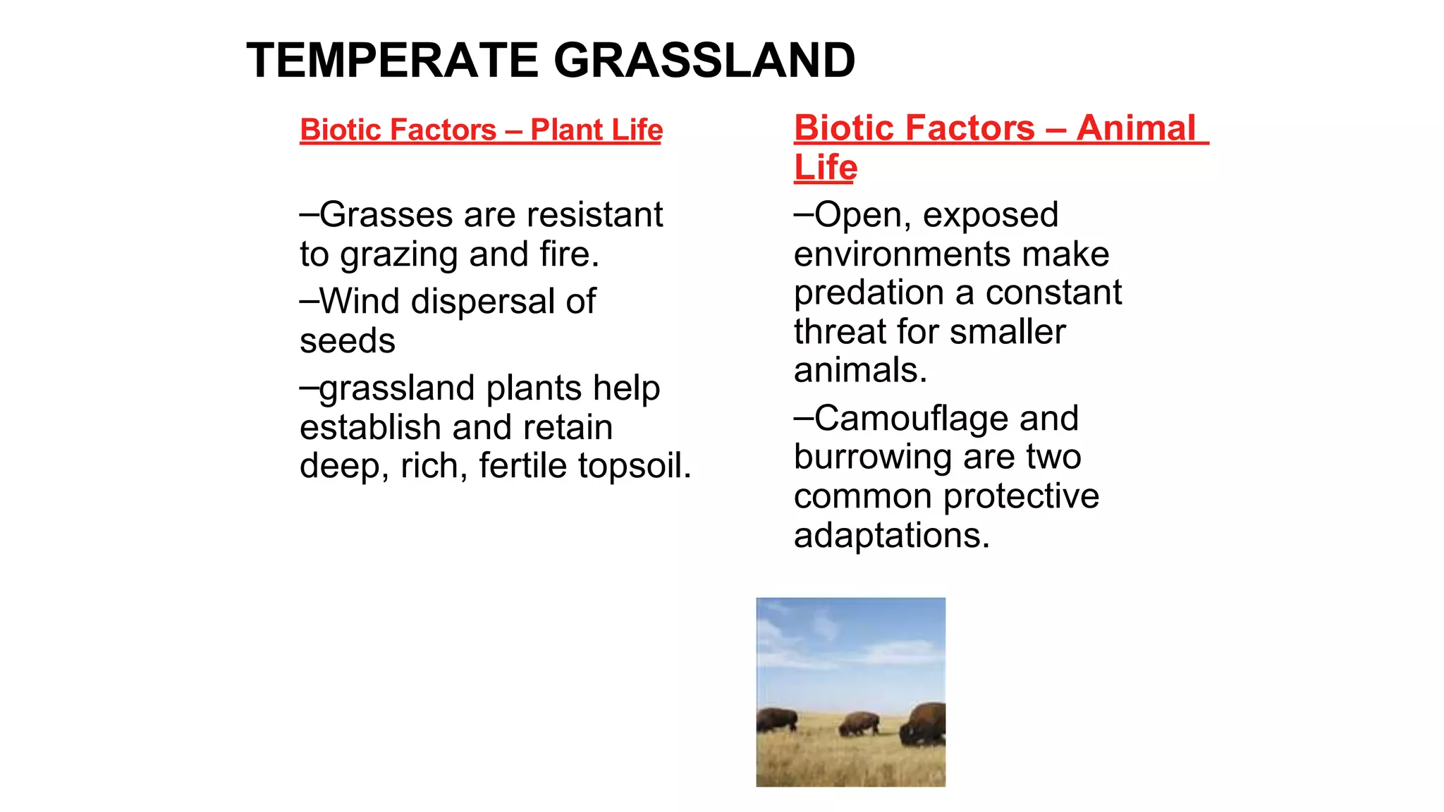 Biomes. abiotic and biotic parts | PPTX