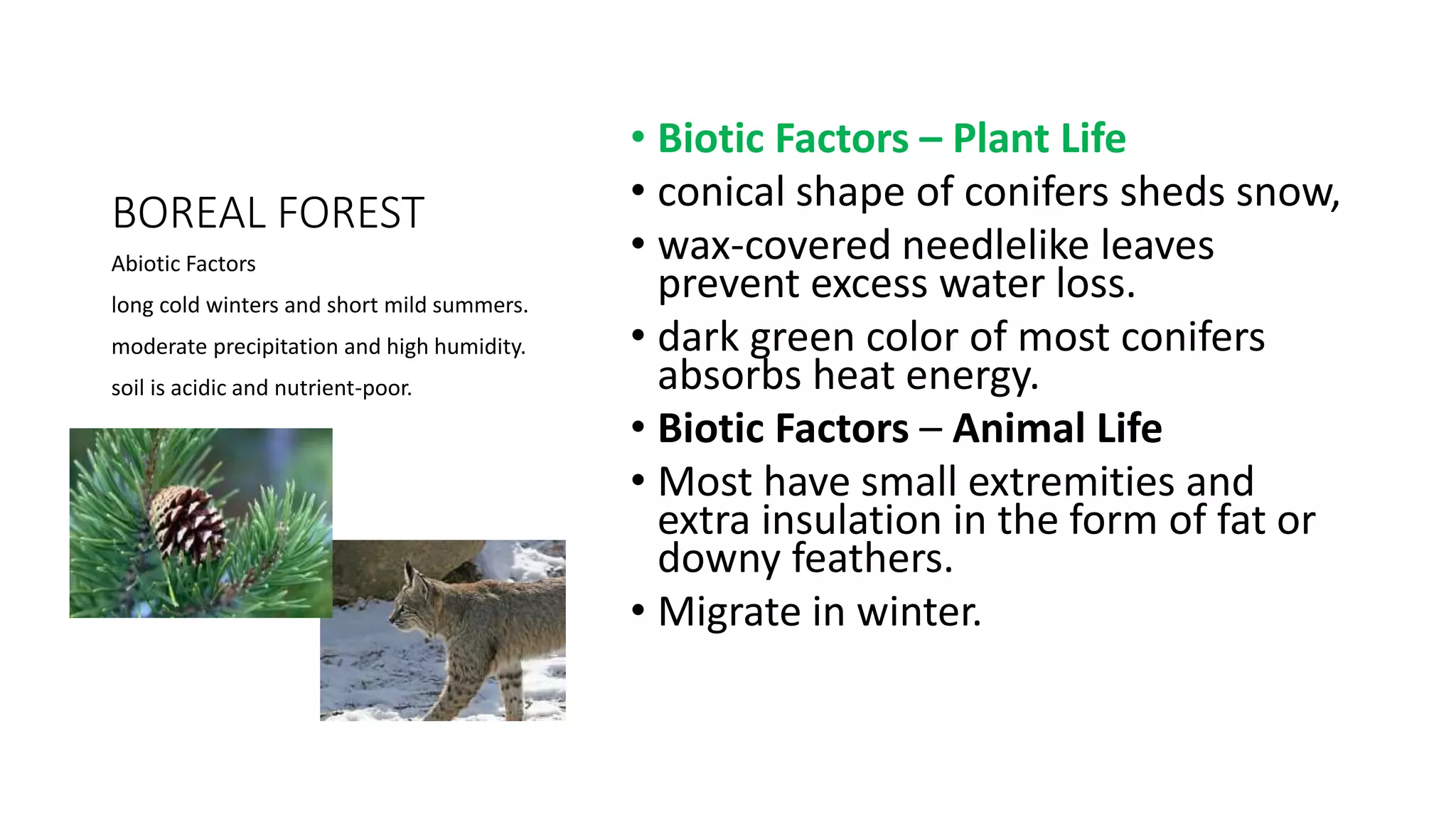 Biomes. abiotic and biotic parts | PPT