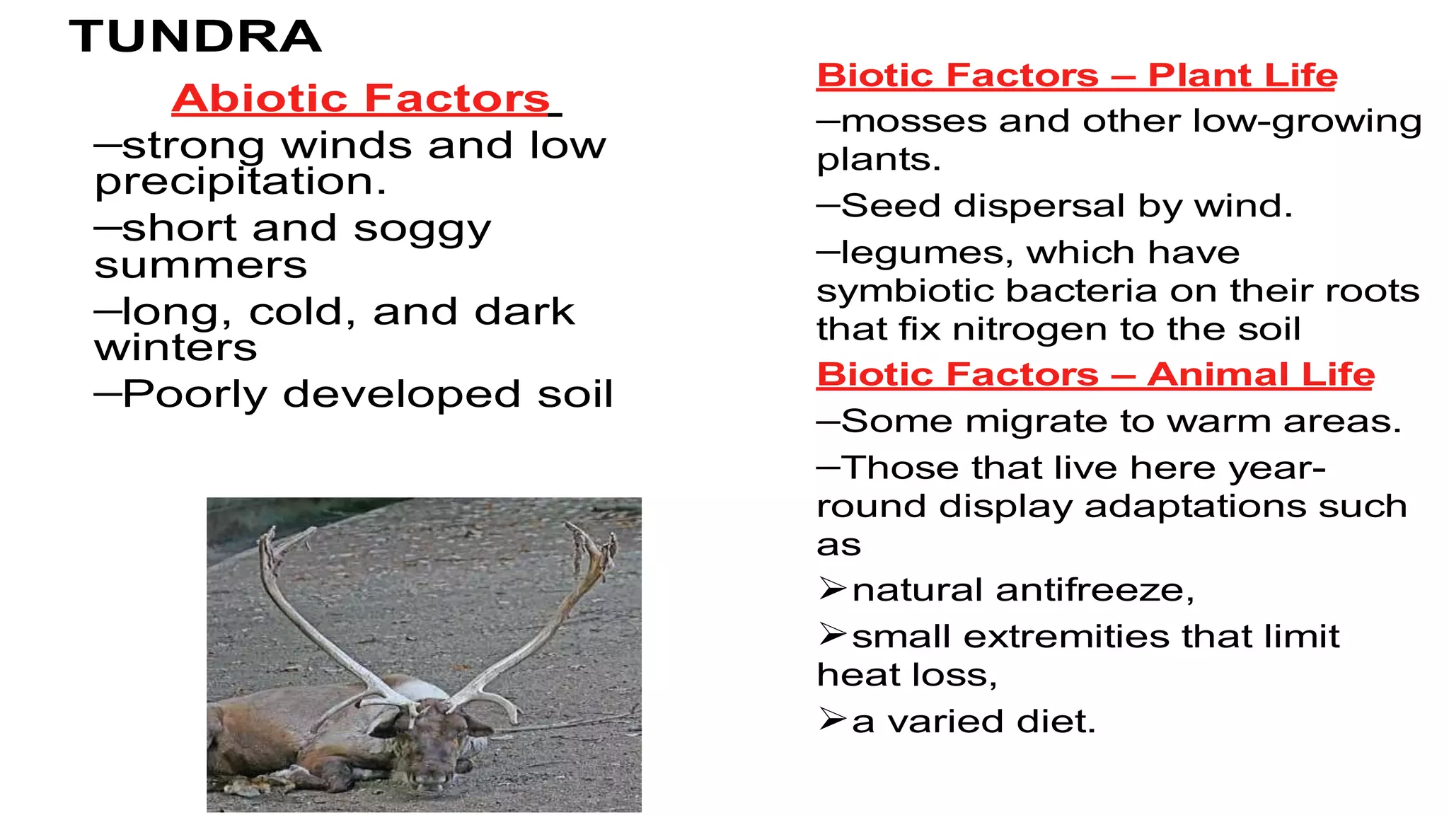 Biomes. abiotic and biotic parts | PPTX