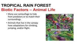 Biomes. abiotic and biotic parts | PPT
