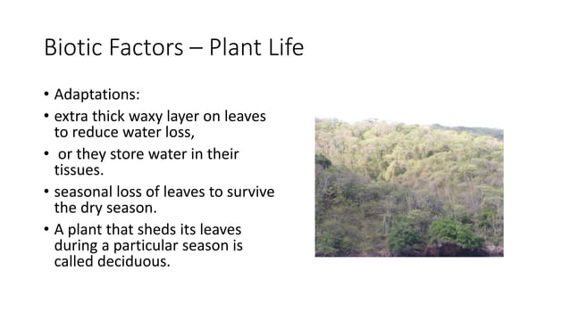 Biomes. abiotic and biotic parts | PPT
