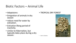 Biomes. abiotic and biotic parts | PPT