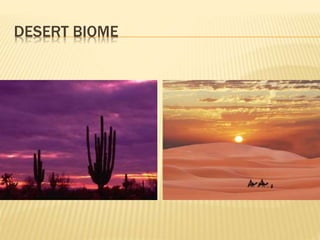 Biomes | PPTX