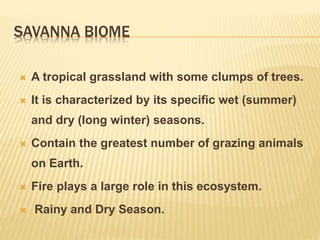Biomes | PPTX