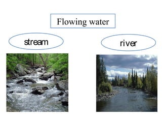 Biomes | PPT