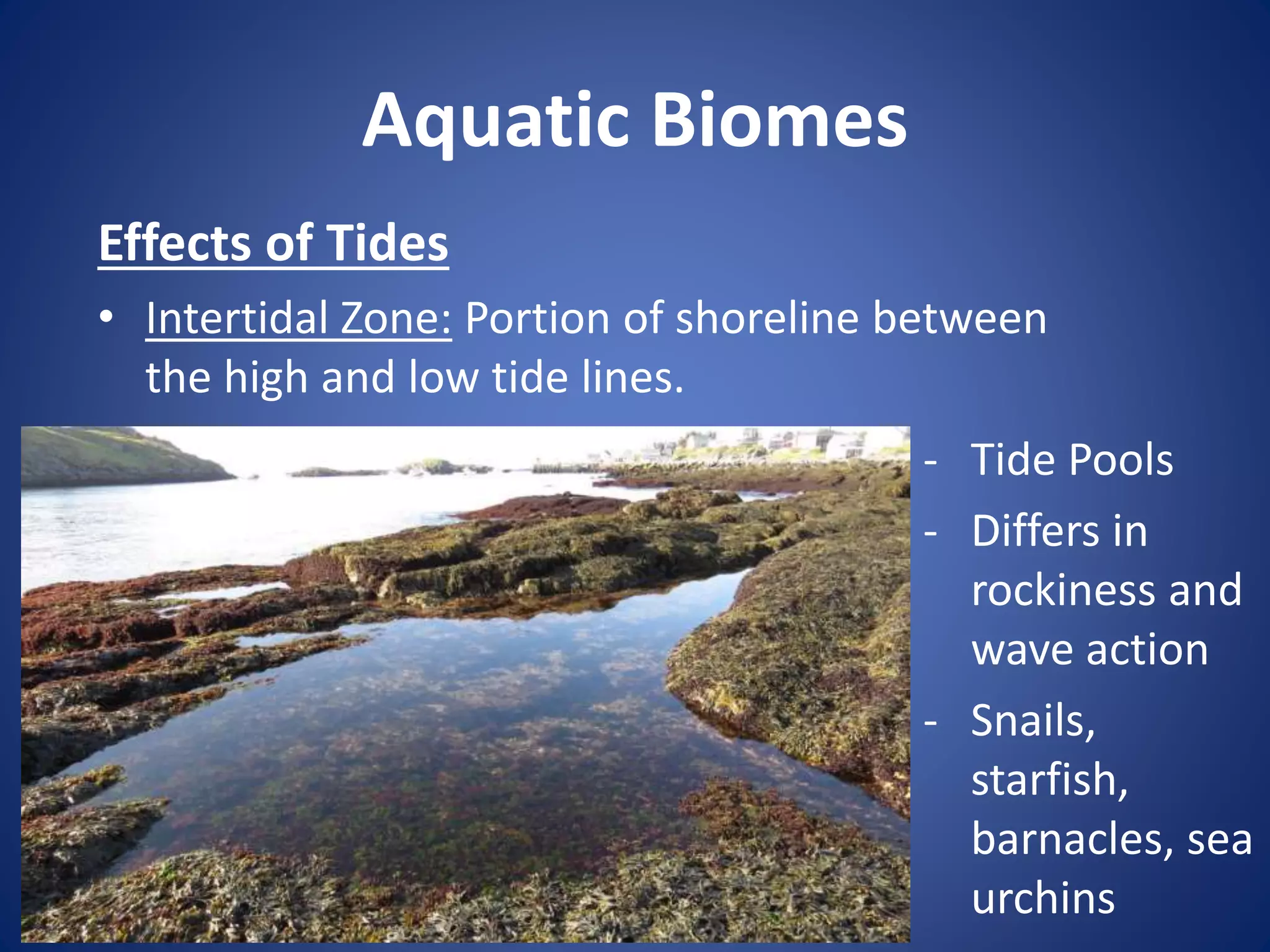 Glencoe Biology Chapter 3 Communities Biomes and Ecosystems | PPTX