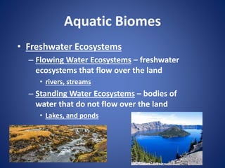 Glencoe Biology Chapter 3 Communities Biomes and Ecosystems | PPTX