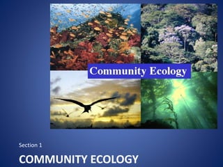 Glencoe Biology Chapter 3 Communities Biomes and Ecosystems | PPTX