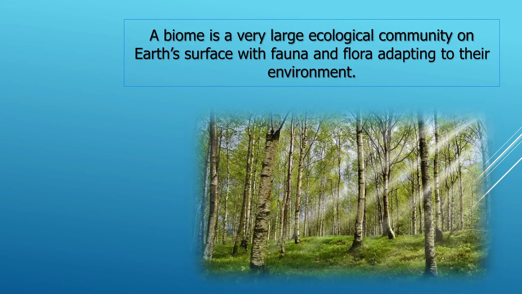 biomes-190215063001.pptx.pptx