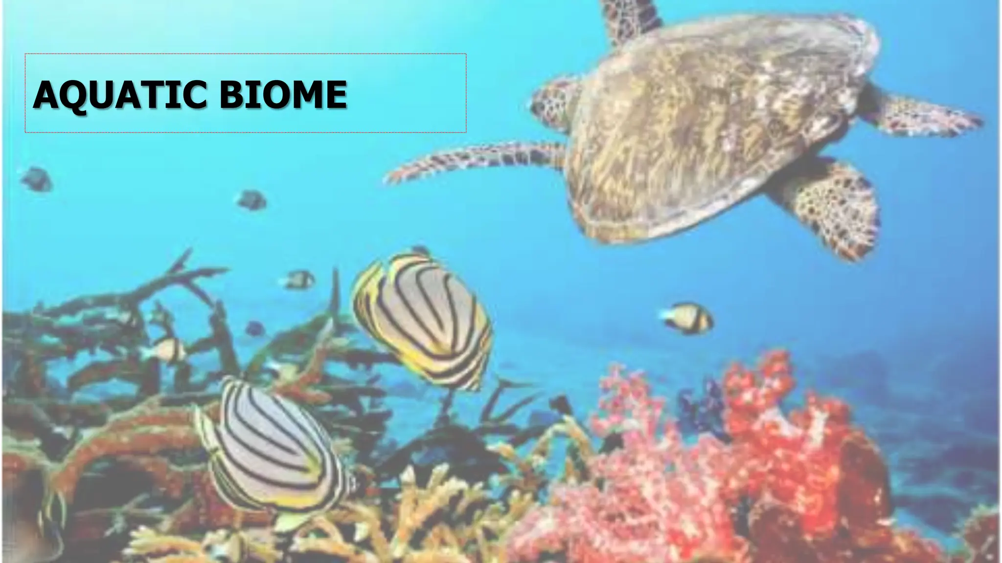 biomes-190215063001.pptx.pptx