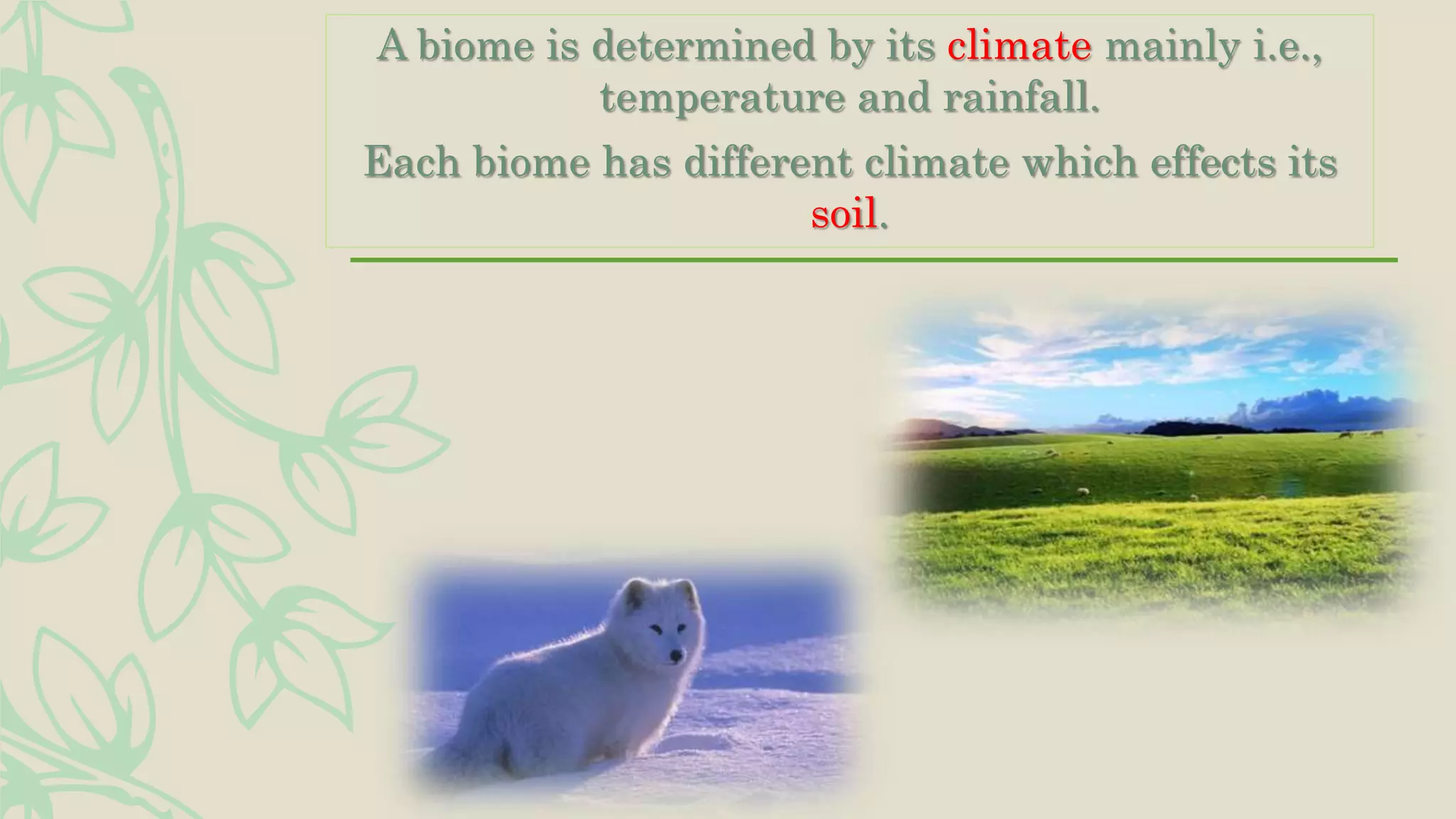 Biomes | PPTX | Science